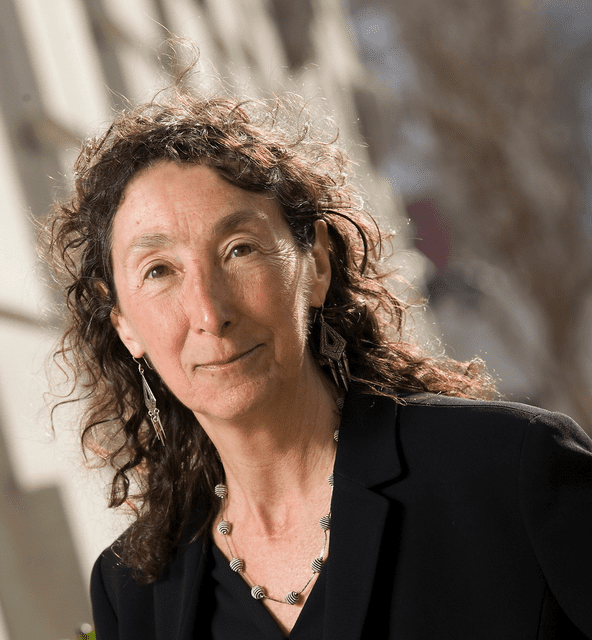 Prof. Karen Musalo Briefs Congressional Staff on Canadian Asylum Ruling ...