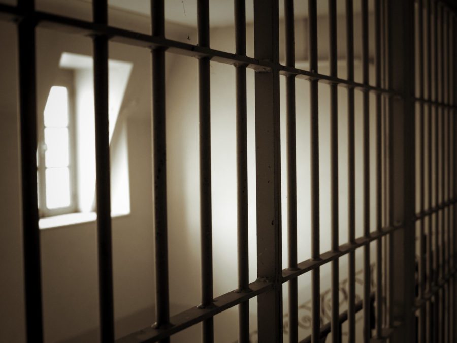 Rory Little, Professor of Law - UC Law SF College of the Law